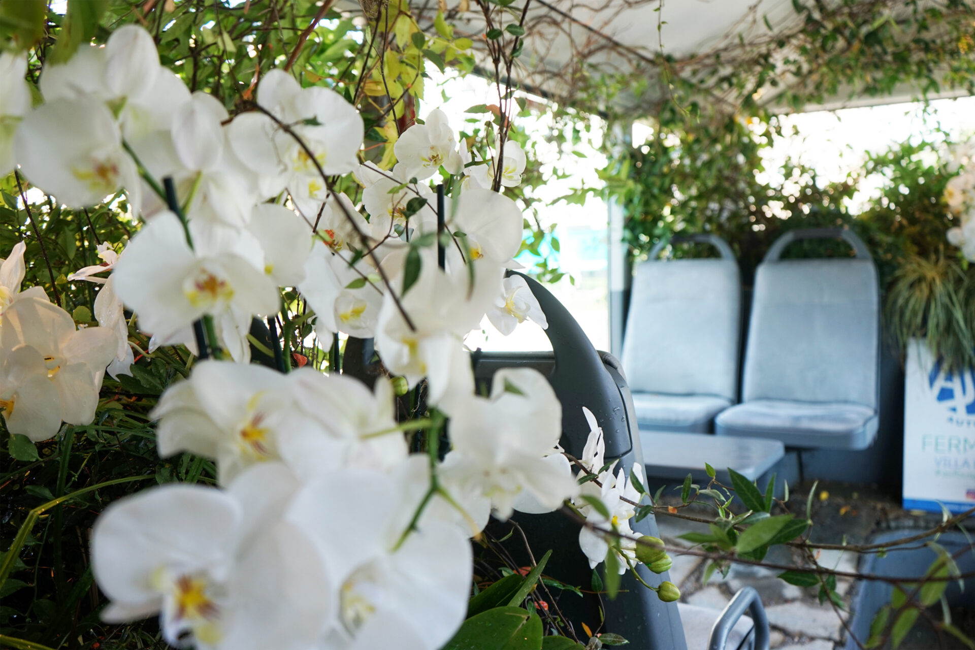 FOTO Cernobbio, sul lungolago torna il Bus Garden di Asf: a bordo ...