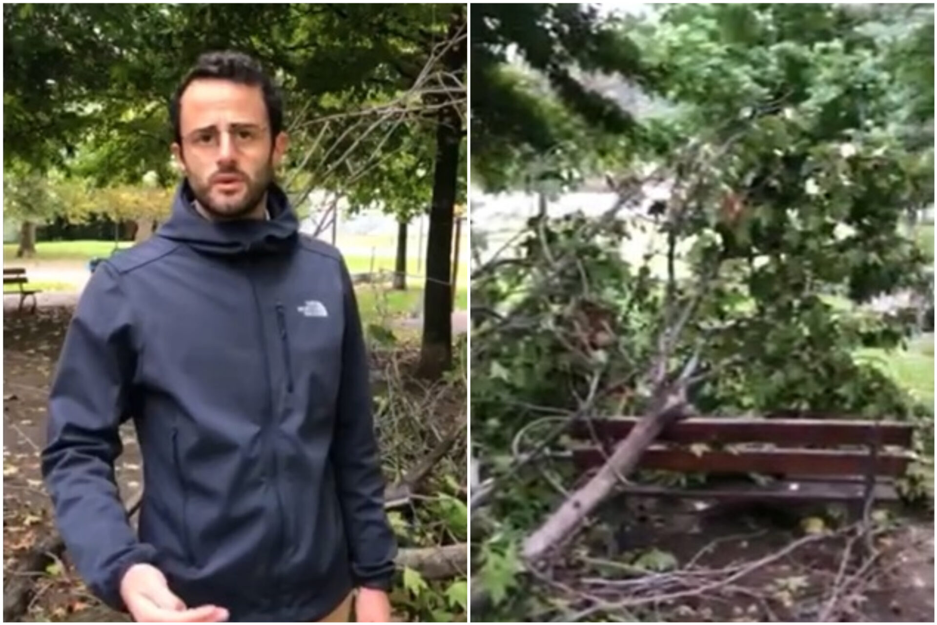 VIDEO Como, brivido al parco di via Traù: tronco si abbatte su una ...