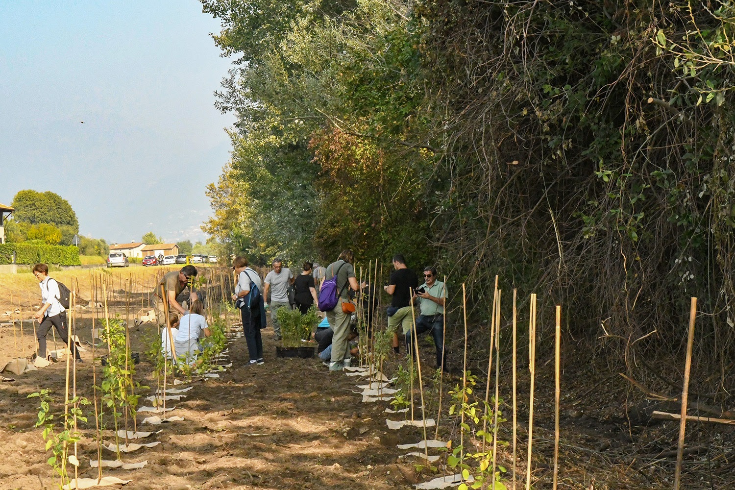 Da sabato 100 nuovi alberi piantati nella Spina Verde di Como. E i ...