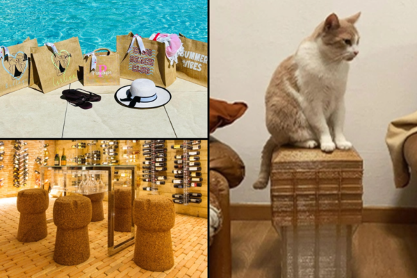 VIDEO A Como Pfp Home Design: complementi d’arredo green dal design ...