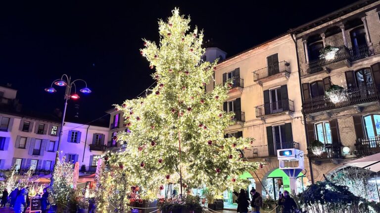 Como, abbattuto dal vento l'albero di Natale torna a splendere a tempo ...