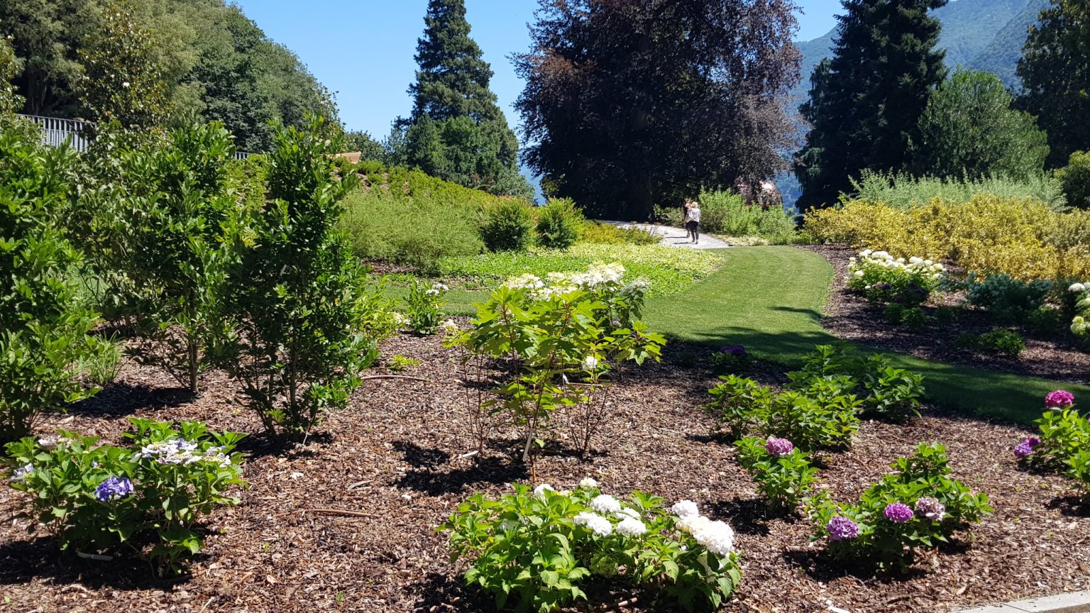 Villa Olmo, ecco i costi di manutenzione di orto botanico e parco ...